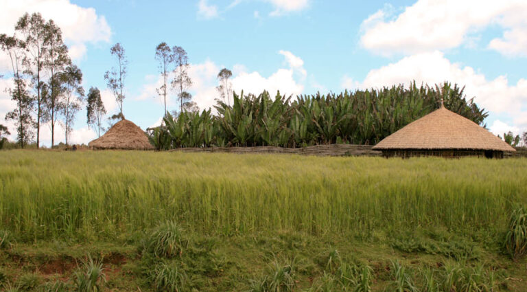 The Gedeo Cultural Landscape in Ethiopia – International Scientific ...
