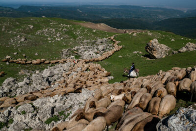 Transhumance Cultural Landscapes – International Scientific Committee ...